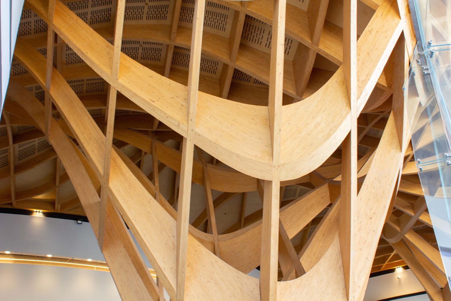 The rise of mass timber for tall buildings - construction blog